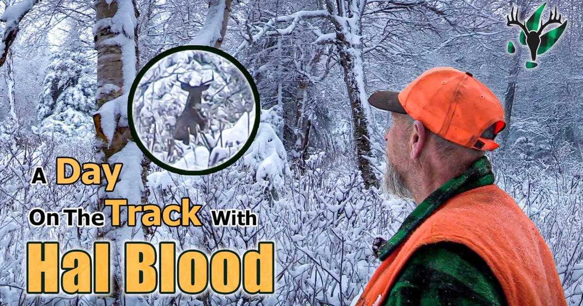 VIDEO: Hal Blood lets a good buck walk - A Day on the Track – Big Woods ...
