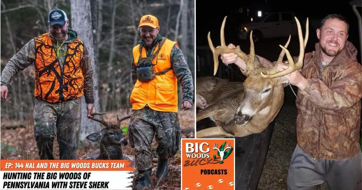 Big Woods Bucks Podcast Episode 144: Hunting the Big Woods of ...