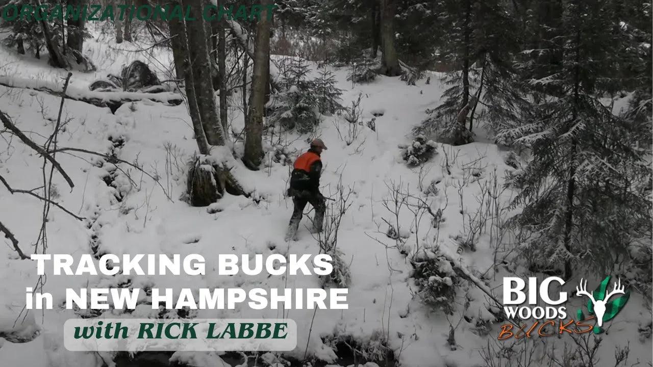 Tracking Bucks in New Hampshire with Rick Labbe | BIG WOODS BUCKS – Big ...