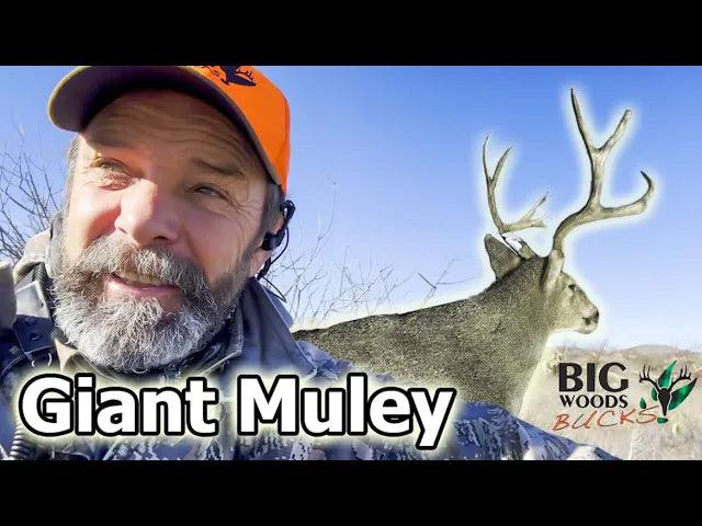 VIDEO: Rick Labbe's 2023 Arizona DESERT MULEY – Big Woods Bucks
